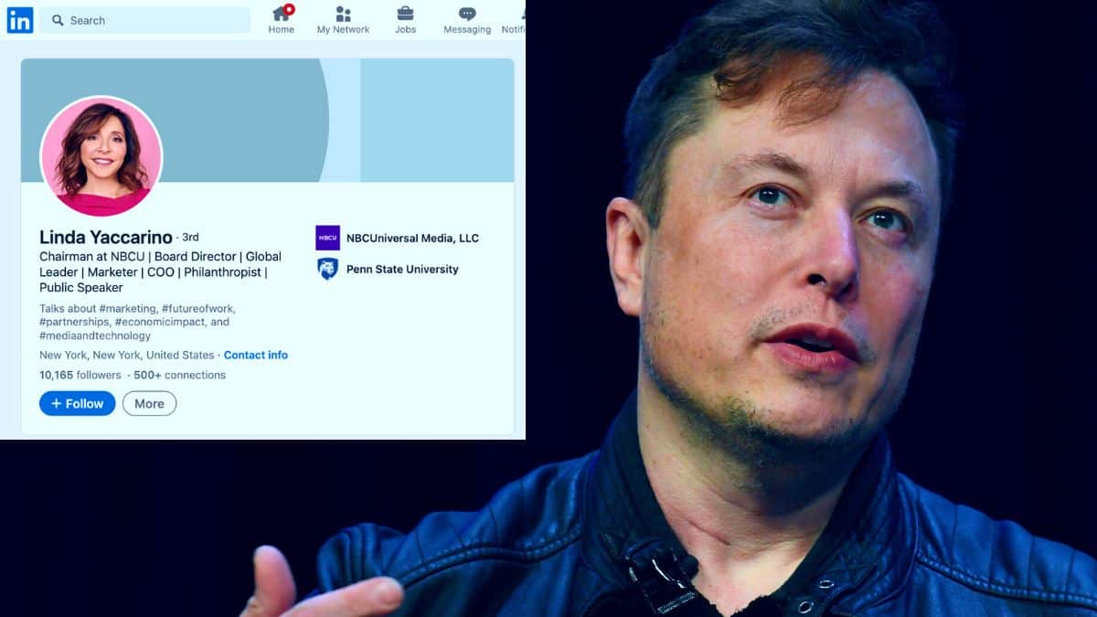 Who Is Musk's New Twitter CEO and What Are Her Ties to the Pro-Online ...